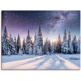 Wandbild Artland, B:80cm H:60cm, blau, Wohnzimmer, Bilder, "Tannenwald im Schnee vorm Sternenhimmel", als Alubild, Leinwandbild, Poster in verschied.