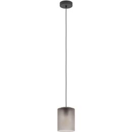 Eglo H&auml;ngeleuchte "COLOMERA Pendellampe - Stahl - E27 - 1X40W - IP20", 1, &Oslash; 15cm H: 110cm, 1 Stk.schwarz, Leuchten, H&auml;ngelampe, Deckenlampe,