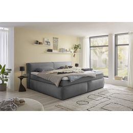Boxspringbett, B:250cm L:227cmdunkelgrau, ED EXCITING DESIGN, 100% Polyester, Jugendzimmer, Komplettbetten, "Sandon, Familienbett erh&auml;ltlich in der