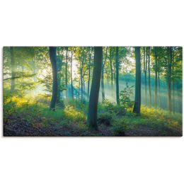 Leinwandbild Artland, B:150cm H:75cm, gr&uuml;n, Wohnzimmer, Bilder, "Wald Panorama", auf Holzrahmen gespannt