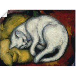 Wandbild Artland, B:40cm H:30cm, wei&szlig;, Wohnzimmer, Bilder, "Die weisse Katze. 1912", als Leinwandbild, Poster in verschied. Gr&ouml;&szlig;en