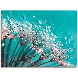 Leinwandbild Artland, B:80cm H:60cm T:1,8cm, blau, Leinwand, Wohnzimmer, Bilder, "Glitzernde Pusteblume I", auf Holzrahmen gespannt
