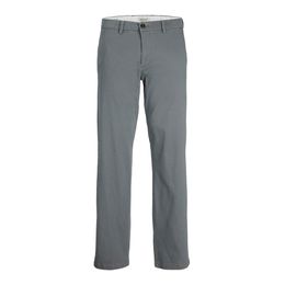 Jack & Jones Jack & Jones Chino Pants 'JPSTKane Dylan' male Grey size 29