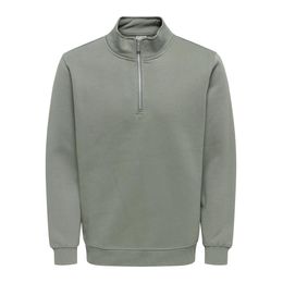 Only & Sons Only & Sons Sweatshirt 'ONSConnor' male Grey size L