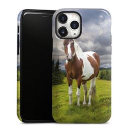 DeinDesign iPhone 11 Pro Handy Panzer Handyh&uuml;lle robuste Outdoor H&uuml;lle Schutzh&uuml;lle gl&auml;nzend Meadow Nature Horse Tough Case