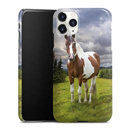 DeinDesign iPhone 11 Pro Max Handy Premium Case Smartphone Handyh&uuml;lle Schutzh&uuml;lle gl&auml;nzend Meadow Nature Horse Premium Case