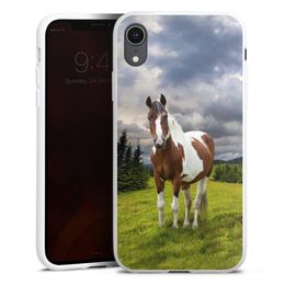 DeinDesign iPhone Xr Handy Silikon H&uuml;lle Case wei&szlig; Handyh&uuml;lle Horse Nature Meadow Silikon Case
