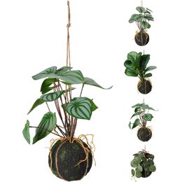 Koopmann H&auml;ngepflanze 30cm BOTANIC