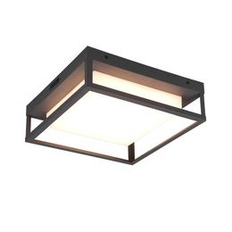 Trio LED Deckenleuchte WITHAM
