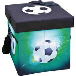 Inter Link Aufbewahrungsbox FANBOX I FUSSBALL