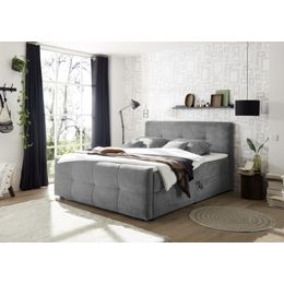 Boxbett WINNIPEG 6