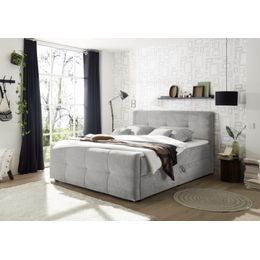 Boxbett WINNIPEG 6