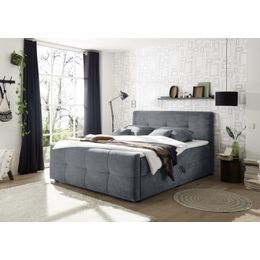 Boxbett WINNIPEG 6