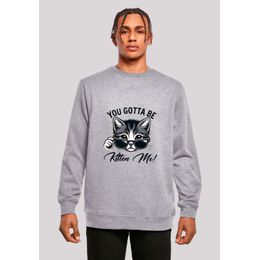 F4NT4STIC Herren Sweatshirt "K&auml;tzchen You Gotta Be Kitten Me", grau, Gr. XXXL, Obermaterial: 50% Baumwolle, 50% Polyester, Sweatshirts, Premium