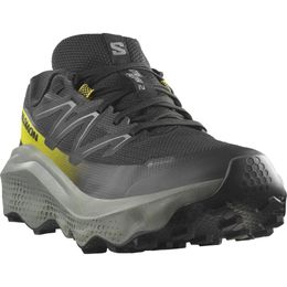 Salomon Ultra Flow 2 GTX Schuhe Herren schwarz 44.6