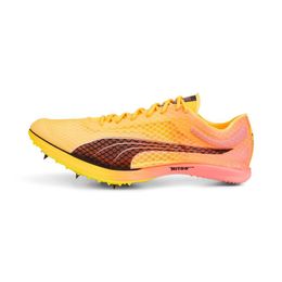 Puma Evospeed Distance Nitro Elite+ 2 Schuhe Unisex bunt 46.0