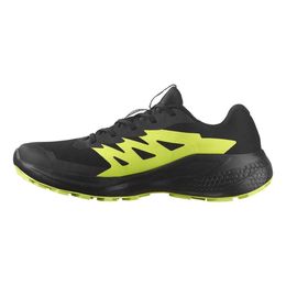 Salomon Alphaglide GTX Schuhe Herren schwarz 46.0
