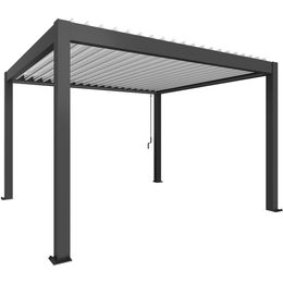 Pergola BioHort "4x3,5, verschiedene Farben", dunkelgrau, metallic, B:404,5cm H:264cm T:367,5cm, Pergolen, ausgezeichnet mit dem Red Dot Design Award