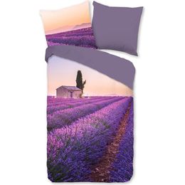 pure Mikrofaser-Bettw&auml;sche-Set "Lavender" in Lila - 53% | Gr&ouml;&szlig;e 240x220 cm | Bettwaesche-bettwaren