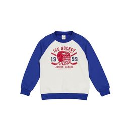 Fred's World by GREEN COTTON Fred ́s World by GREEN COTTON Sweatshirt "Ice hockey" in Blau/ Wei&szlig; - 53% | Gr&ouml;&szlig;e 104 | Kinder-sweatshirts-jacken