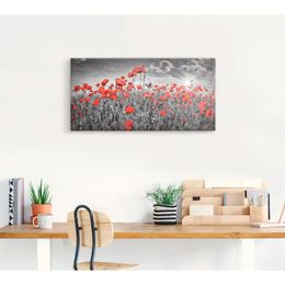 Artland Wandbild &raquo;Idyllisches Mohnblumenfeld mit Sonne&laquo; Blumen 1 Stk. tlg. als Alubild, Leinwandbild, Poster in verschied. Gr&ouml;&szlig;en schwarz