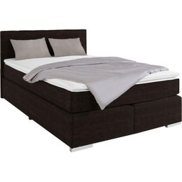 COTTA Boxspringbett &raquo;Simba&laquo; Topseller! wahlweise mit oder ohne Matratze und Topper bestellbar braun Polyester