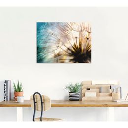 Artland Wandbild &raquo;Pusteblume Makro abstrakt&laquo; Blumen 1 Stk. tlg. als Alubild, Leinwandbild in verschied. Gr&ouml;&szlig;en beige