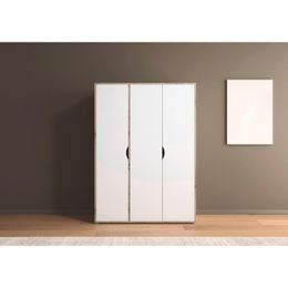 Rauch Dreht&uuml;renschrank &raquo;Kleiderschrank Schrank Garderobe W&auml;scheschrank NARAI viel Stauraum&laquo; in 3 verschiedenen Ausstattungen BASIC/CLASSIC/PREMIUM, 
