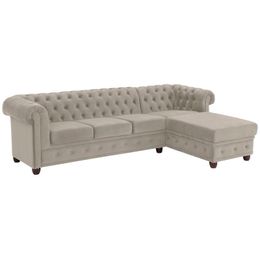 Home Affaire Chesterfield-Sofa &raquo;New Castle L-Form&laquo; hochwertige Knopfheftung in Chesterfield-Design, B/T/H: 255(171/72) beige Samtoptik (100% Polyester