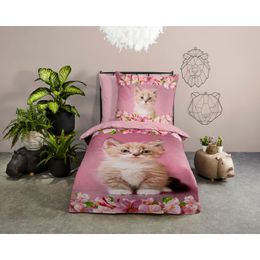 Good Morning Kinderbettw&auml;sche &raquo;Century&laquo; 2 Stk. tlg. Baumwolle, 135x200, Rei&szlig;verschluss, Wende, Kind, M&auml;dchen, Katze, Rosa rosa Renforc&eacute;, Obermaterial: