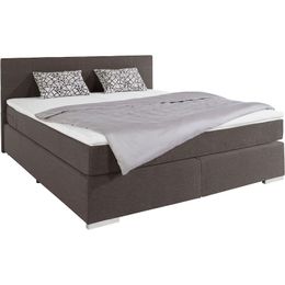 COTTA Boxspringbett &raquo;Simba&laquo; Topseller! wahlweise mit oder ohne Matratze und Topper bestellbar grau Polyester