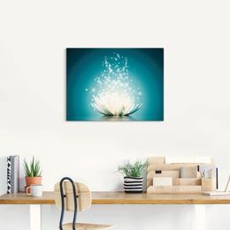 Artland Wandbild &raquo;Magie der Lotus-Blume&laquo; Blumen 1 Stk. tlg. als Alubild, Leinwandbild, Poster in verschied. Gr&ouml;&szlig;en blau