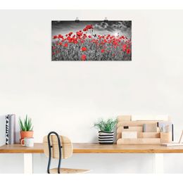 Artland Wandbild &raquo;Idyllisches Mohnblumenfeld mit Sonne&laquo; Blumen 1 Stk. tlg. als Alubild, Leinwandbild, Poster in verschied. Gr&ouml;&szlig;en schwarz