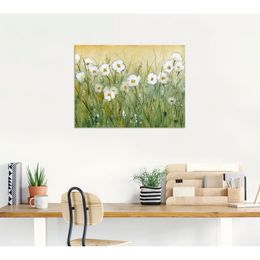 Artland Wandbild &raquo;G&auml;nsebl&uuml;mchenfr&uuml;hling II&laquo; Blumen 1 Stk. tlg. als Alubild, Leinwandbild, Poster in verschied. Gr&ouml;&szlig;en gr&uuml;n