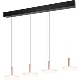 Trio Leuchten LED Pendelleuchte &raquo;CELESTE dimmbare LED H&auml;ngelampe aus Metall und Glas, 7,5W, 750 Lumen&laquo; LED-Board 1 Stk. Warmwei&szlig; 4-flammig einfach 