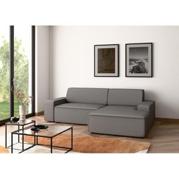 Trendmanufaktur Ecksofa &raquo;Graz, wahlweise mit Sitzvorschub und Bettkasten, L-Form, Breite 246 cm&laquo; in Cord-, haustierfreundlichem LEO Struktur- oder 
