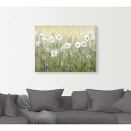 Artland Wandbild &raquo;G&auml;nsebl&uuml;mchenfr&uuml;hling II&laquo; Blumen 1 Stk. tlg. als Alubild, Leinwandbild, Poster in verschied. Gr&ouml;&szlig;en gr&uuml;n