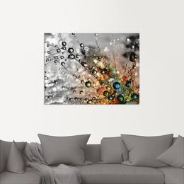 Artland Wandbild &raquo;Farbenfrohe Natur&laquo; Blumen 1 Stk. tlg. als Alubild, Leinwandbild, Poster in verschied. Gr&ouml;&szlig;en bunt