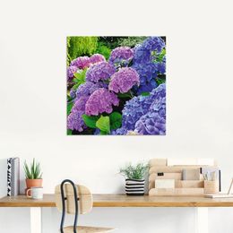 Artland Wandbild &raquo;Hortensien im Garten&laquo; Blumen 1 Stk. tlg. als Alubild, Leinwandbild, Poster in verschied. Gr&ouml;&szlig;en lila
