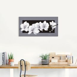 Artland Wandbild &raquo;Wei&szlig;e Orchideen auf grau&laquo; Blumen 1 Stk. tlg. als Alubild, Leinwandbild, Poster in verschied. Gr&ouml;&szlig;en schwarz