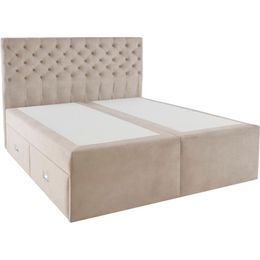 Home Affaire Polsterbett &raquo;Boxbett Alvi mit Schubladen, Taschen-Federkernmatratze&laquo; wahlweise H&auml;rtegrad der Matratze H2/H3/H4 beige 100% Polyester