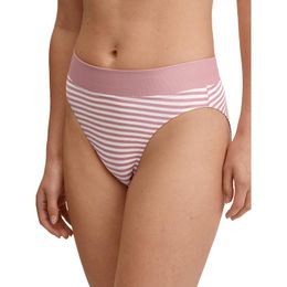 Calida Damen Calida High-Waist-Slip &raquo;Elastic&laquo; breiter Softbund, elastisch, Single Jersey, atmungsaktiv, weich rosa XS (36/38)
