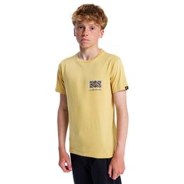 Quiksilver Jungen T-Shirt &raquo;Evo Crisis&laquo; 14