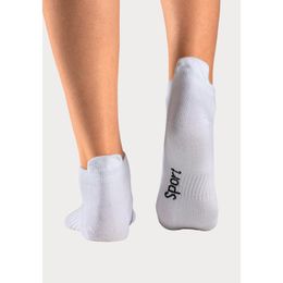 Bench. Damen Sneakersocken Packung, 6 Stk. tlg. mit feiner Mesh Konstruktion und Mittelfu&szlig;gummi wei&szlig; 39-42