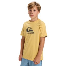 Quiksilver Jungen T-Shirt &raquo;Ev Comp Logo&laquo; 14