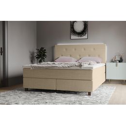 Boxspringbett Home Affaire "Alenika", wei&szlig; (ivory), B:181cm L:208cm, 100% Polyester, Komplettbetten, Boxspringbett, mit LED - Beleuchtung, mit Taschen-Federkernmatratze