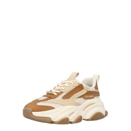 Steve Madden Sneakers 'POSSESSION-E' female Beige size 41