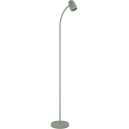 Eglo Stehlampe "CARLO Stehlampe - Stahl - E14 - 1X18W - IP20", 1, H: 170cm, 1 Stk.gr&uuml;n, Leuchten, Standlampe, 170 cm, Flexarm, schwenkbar, Leselampe,