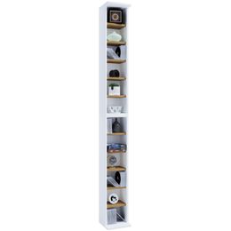 Vcm CD/DVD Regal BIGOL