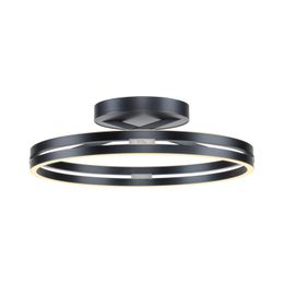 Deckenleuchte PURE LOOP